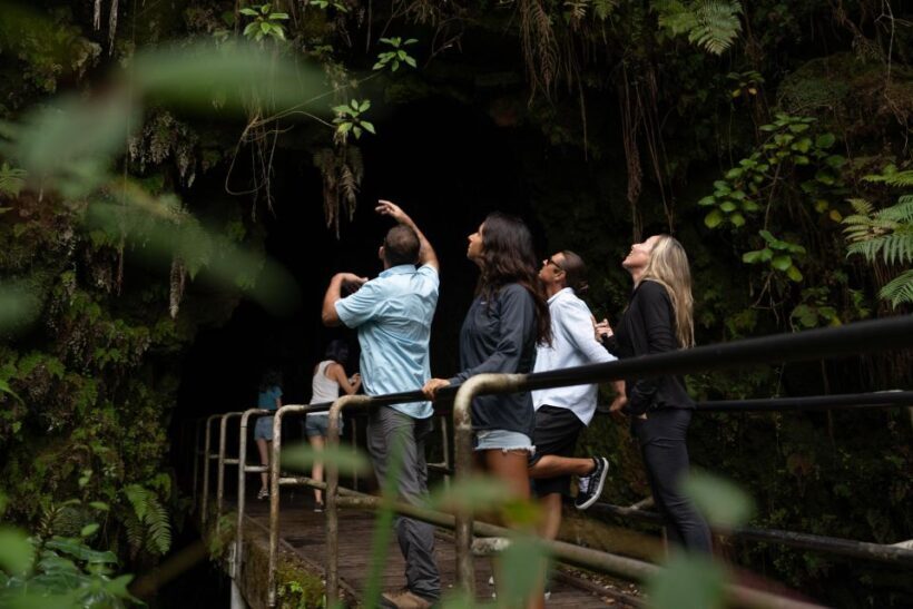 Hawaii: Big Island Volcanoes Day Tour with Dinner and Pickup - Authentic Experiences and Traveler Feedback
