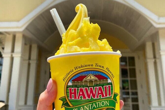 Hawaii Circle Island Tour - Discovering Oahu: A Deep Dive into the Circle Island Experience