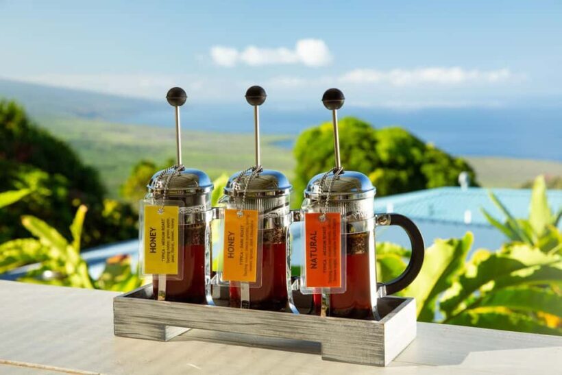 Hawaii: Hala Tree Coffee Farm Tour and Tasting - Key Points