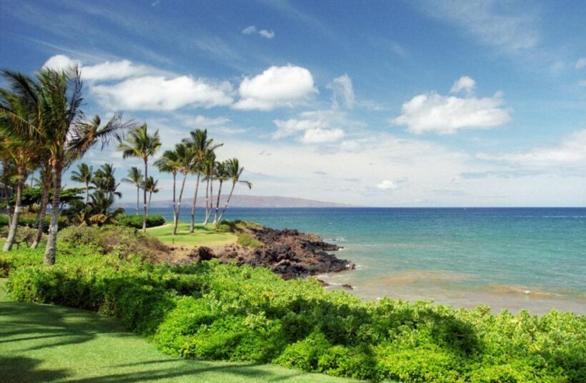 Hawaii Island Private Tour: Majestic Circle Island Adventure - What Travelers Say