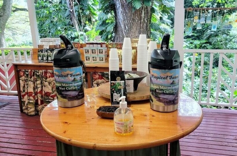Hawaii : Oahu Island Sightseeing and Food Combo Tour - Final Thoughts: Who Should Consider This Tour?