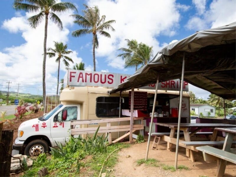 Hawaii : Oahu Island Sightseeing and Food Combo Tour - Who Will Love This Tour?