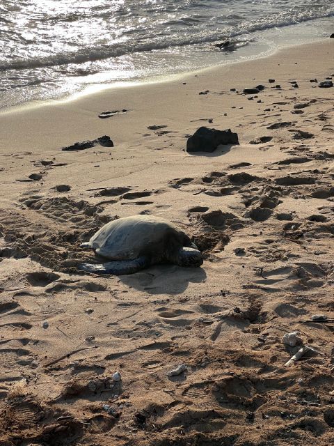 Hawaii: Pearl Harbor and North Shore adventure - FAQ