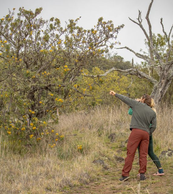 Hawaii: Private All-Inclusive High Country Adventure - Introduction