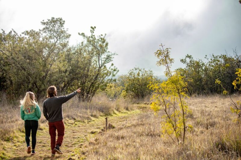 Hawaii: Private All-Inclusive High Country Adventure - Exploring the Volcanic Landscapes of Mauna Loa and Mauna Kea