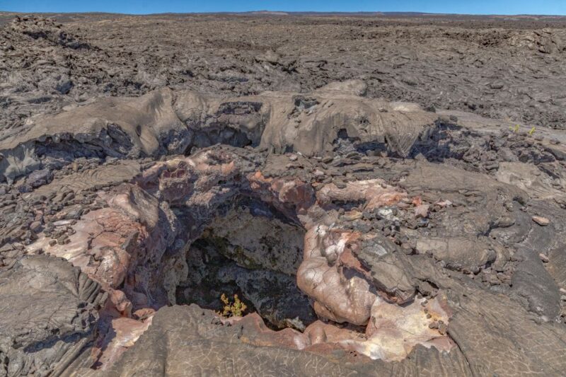 Hawaii: Private All-Inclusive High Country Adventure - Breathtaking Views and a Scenic Picnic