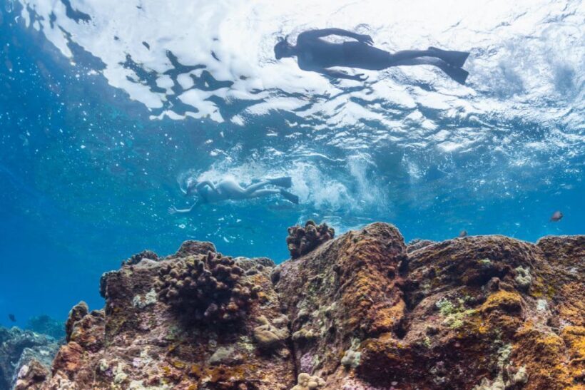 Hawaii: Pu'uhonua O Honaunau & Kealakekua Bay Snorkel Tour - The Experience and Guides