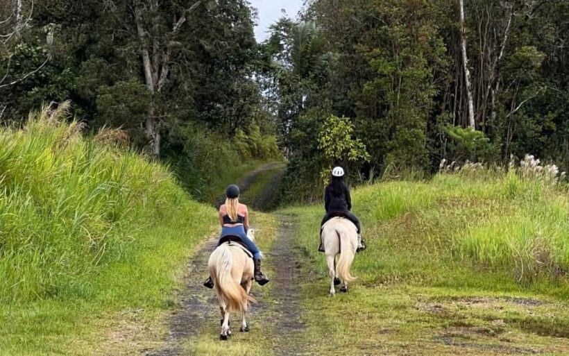 Hawaii: Small Group Rainforest Trail Ride - Key Points