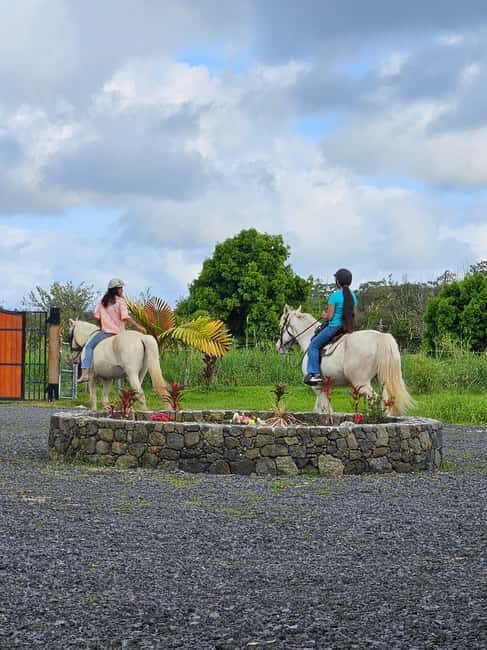 Hawaii: Small Group Rainforest Trail Ride - Exploring the Rainforest by Horseback