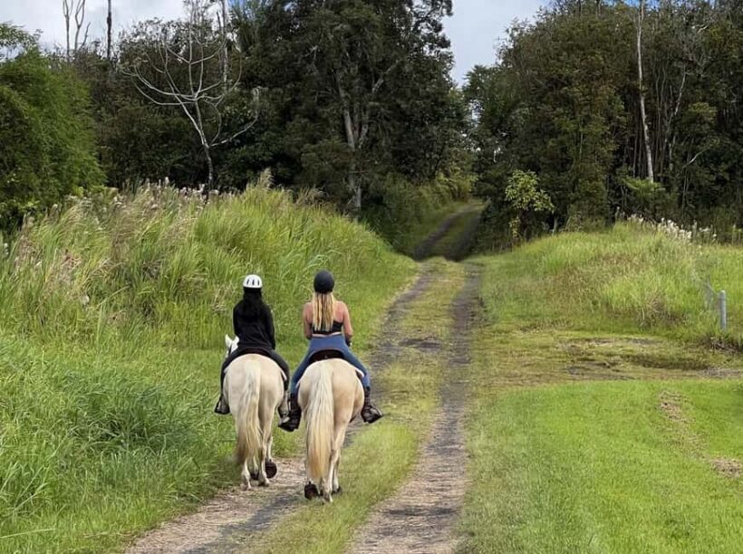 Hawaii: Small Group Rainforest Trail Ride - The Sum Up