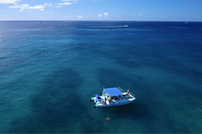 Hawaii Snorkeling With Turtles Boat Tour in Waikiki - Booking and Cancellation