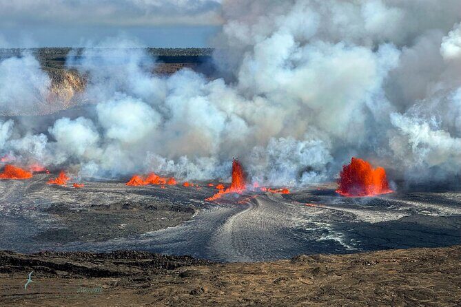 Hawaii Volcano NP Private Tour: 4-Hour Park Immersion - Key Points