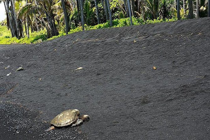 Hawaii Volcanoes National Park Experience from Oahu - The Value and Who Should Consider This Tour