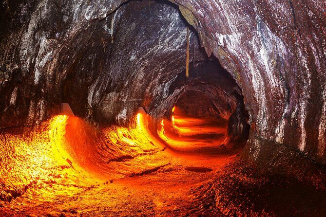 Hawaii Volcanoes National Park Shuttle Tour - Scenic Drive and Landscape Highlights
