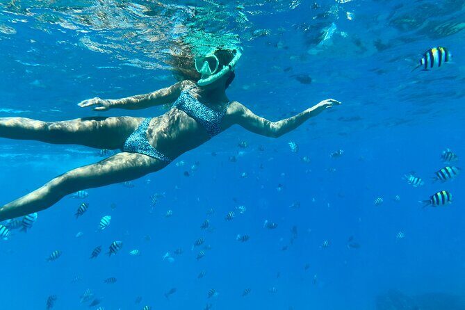 Hawaiian Culture & Snorkel Adventure with Photo/Videos - Introduction