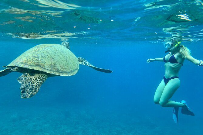 Hawaiian Culture & Snorkel Adventure with Photo/Videos - A Closer Look at the Snorkel Adventure