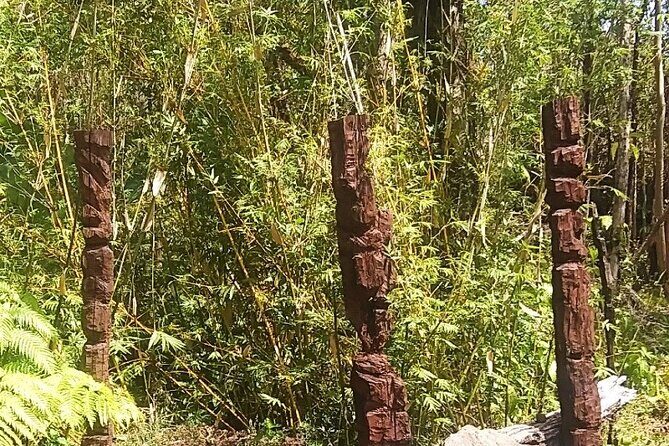 Hawaiian Ohia Tea and Tikis - Who Should Consider This Tour?