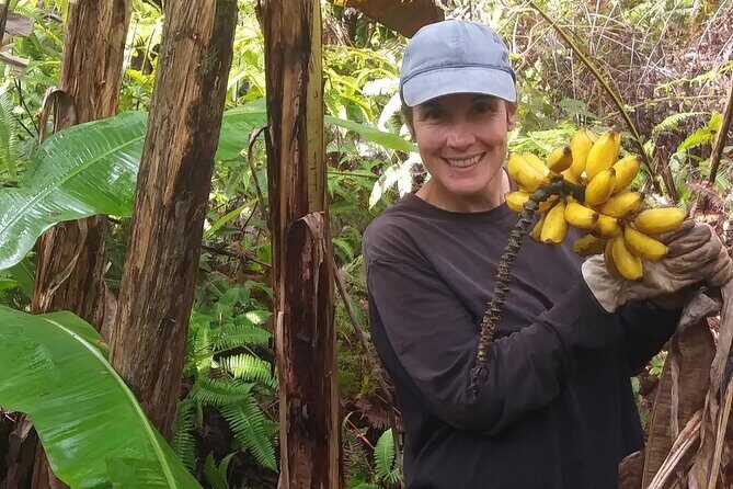 Hawaiian Rainforest Banana Cultivation Experience - What Is This Tour All About?