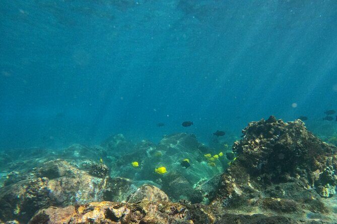 Hawaiian Sail and Snorkel in Kailua-Kona, Hawaii - The Itinerary and What to Expect