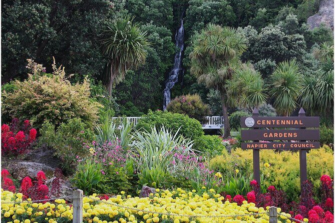 Hawke's Bay/Napier sight seeing,Temata peak, - Who Will Love This Tour?
