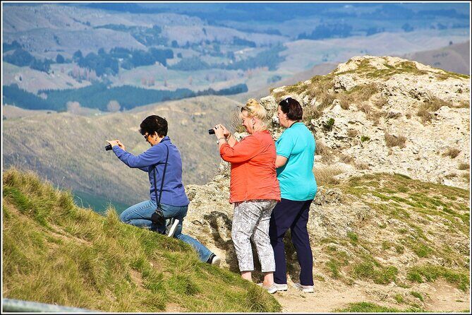 Hawkes Bay - Scenic, luncheon, wine Tour - Practical Details and What They Mean for You