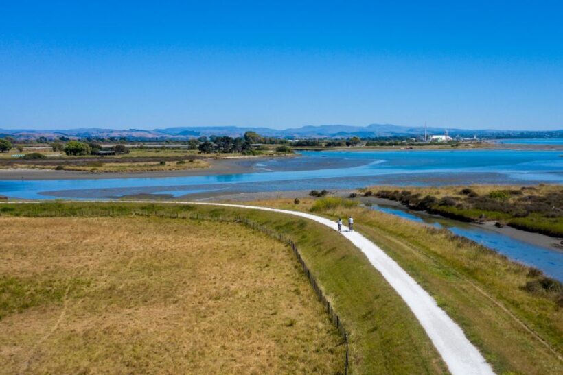 Hawke's Bay: Self Guided Coast to Vineyards Cycle Tour - A Closer Look at the Itinerary and Experience