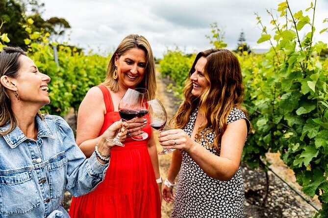 Hawkes Bay Wine & Local Producers Tour | Award Winning | 6 hours - Key Points