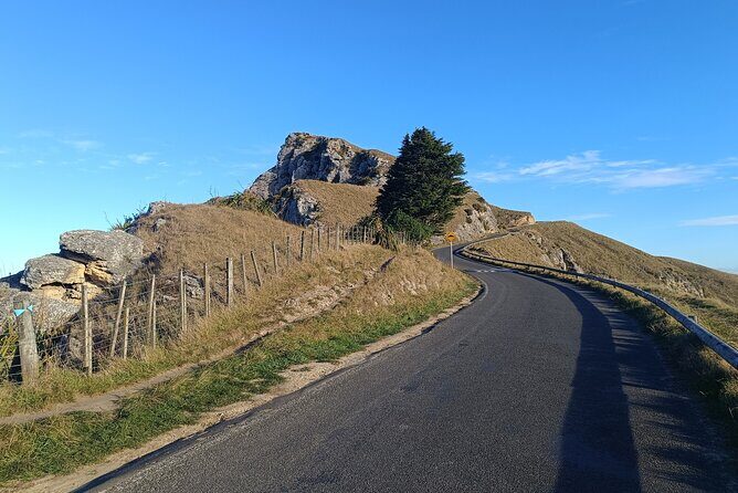 Hawkes Bay Wine & Sightseeing Tour | Award Winning | 4 hours - Analyzing the Value