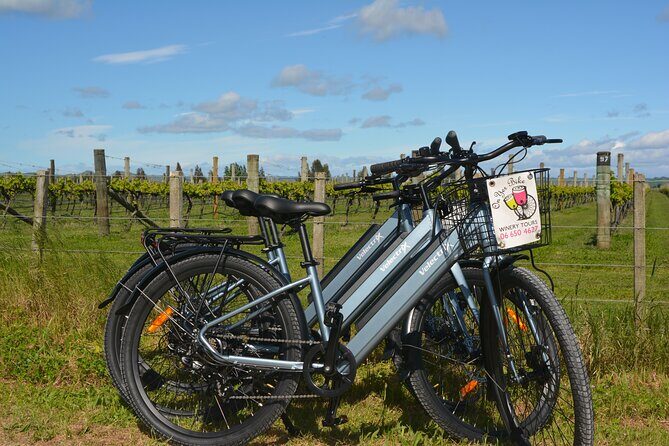 Hawkes Bay Wineries Self-Guided Electric Bike Tour - Discovering the Details of Hawke’s Bay Wineries Self-Guided E-Bike Tour
