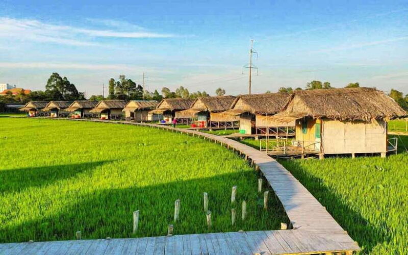 HCM: Authentic Dong Thap Mekong Delta Day Trip & Boat Ride - Is This Tour Worth the Cost?