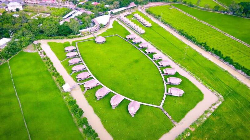 HCM: Authentic Dong Thap Mekong Delta Day Trip & Boat Ride - Final Thoughts: Who Will Love This Tour?