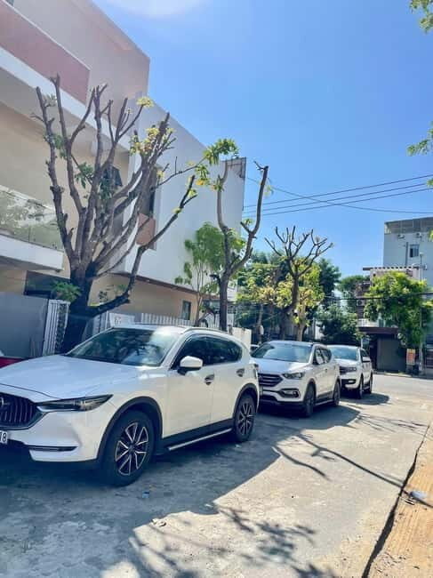 HCM City Explore with Only Car rental and Driver (No Tour) - Key Points