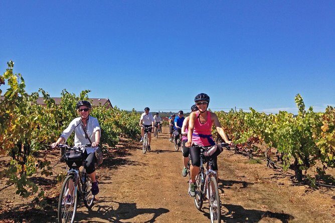 Healdsburg Cycling Wine Tour - Exploring the Tour Itinerary