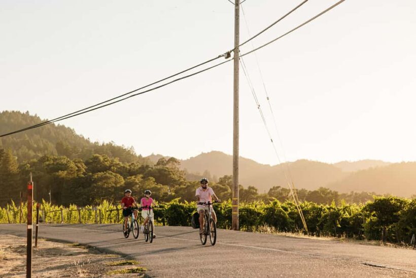 Healdsburg: Guided Electric Bike Wine Tour with Winery Stops - Key Points