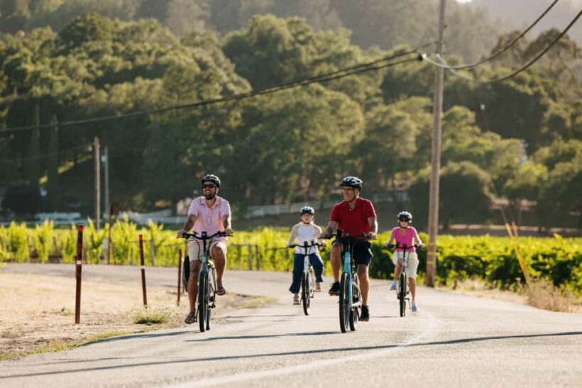 Healdsburg: Guided Electric Bike Wine Tour with Winery Stops - An Overview of the Experience