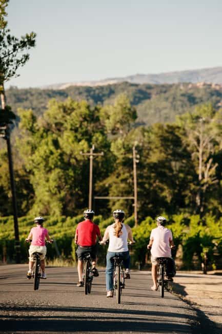 Healdsburg: Guided Electric Bike Wine Tour with Winery Stops - A Closer Look at the Itinerary