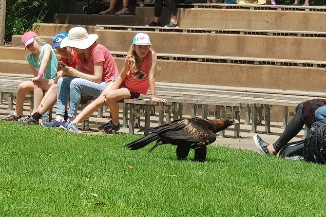 Healesville Sanctuary and Rayners Orchard Tour from Melbourne - Introduction