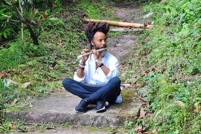 Healing Guided Nature Experience and Waterfall Brunch in Jamaica - Key Points