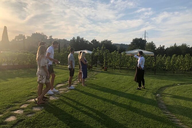 Heart of Chianti Classico - 2 Wineries Lunch Included - Chianti Wine Tour - Lunch and Dining Experience