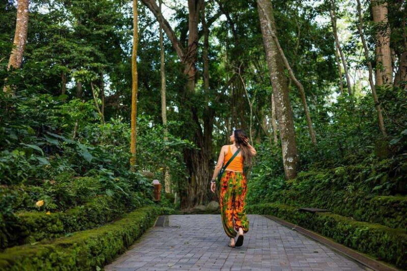 Heart of Ubud: Culture, Nature & Scenic Wonders - Introduction