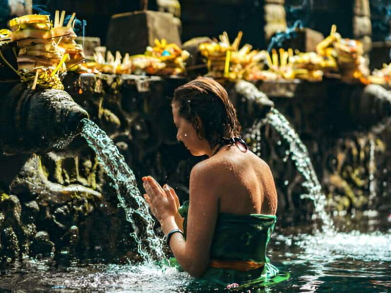 Heart of Ubud: Culture, Nature & Scenic Wonders - The Practical Details