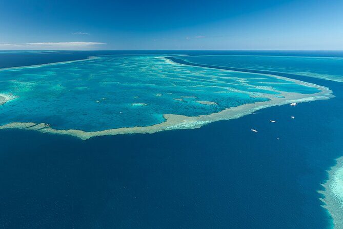 Heart Reef & Whitehaven Rest and Relax - 2.5Hr Helicopter Tour - Final Thoughts