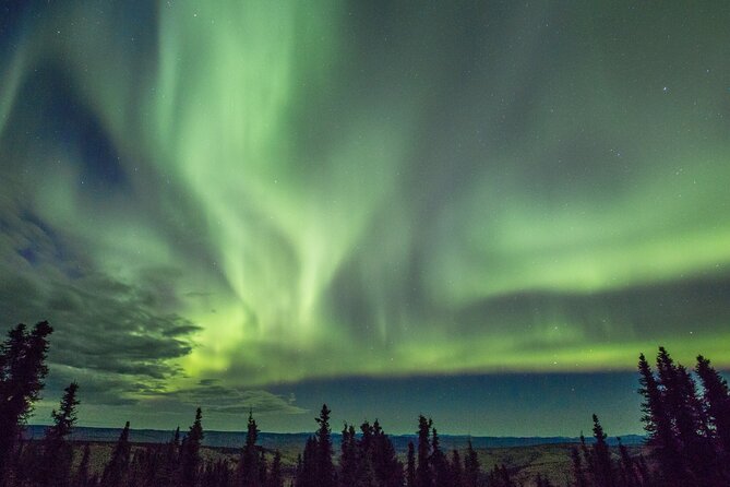Heated and Enclosed ATV Tour in Alaska. Open All Year Round - The Sum Up