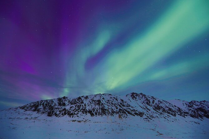 Heated and Enclosed ATV Tour in Alaska. Open All Year Round - FAQs