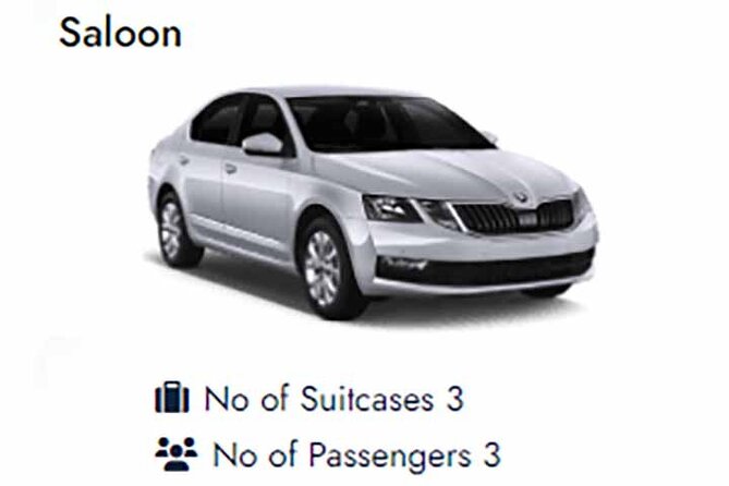 Heathrow To Southampton Cruise Port Transfers - Accessibility and Accommodations