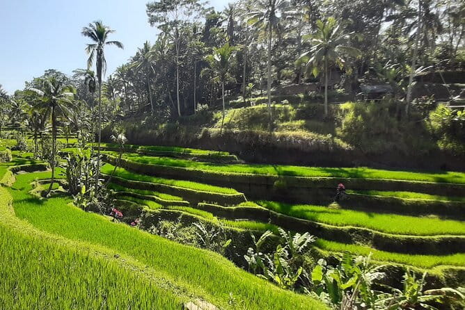 Heaven Gate, Tirtagangga and Tukad Cepung Waterfall - All Inclusive - Tirta Gangga Water Palace: A Water Wonderland