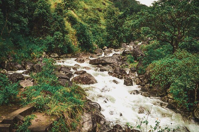 Heeloya Village Trek from Kandy - Key Points