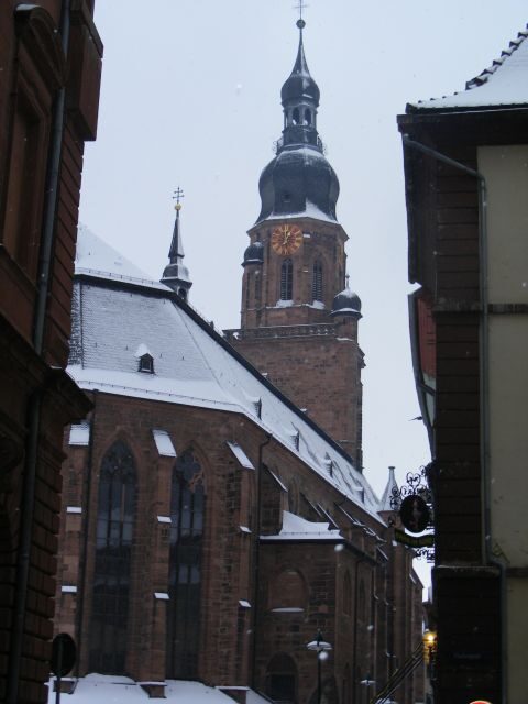 Heidelberg: 2-Hour Crime Tour with Costumed Guide - The Value of This Experience