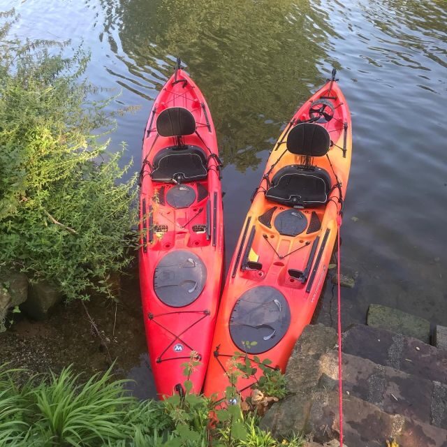 Heidelberg: 2-Hour Kayak Tour - The Sum Up: A Must-Do for Active and Curious Travelers