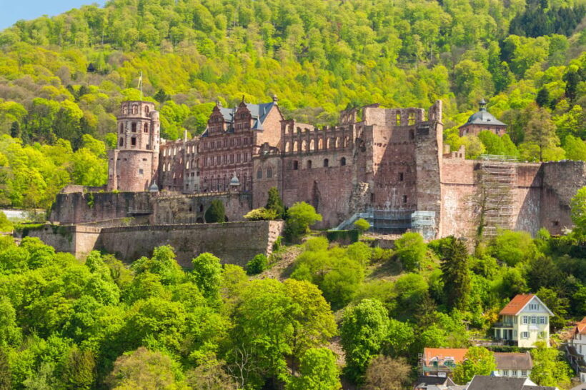 Heidelberg and Rhine Combination Tour from Frankfurt - Authentic Experiences and Traveler Feedback